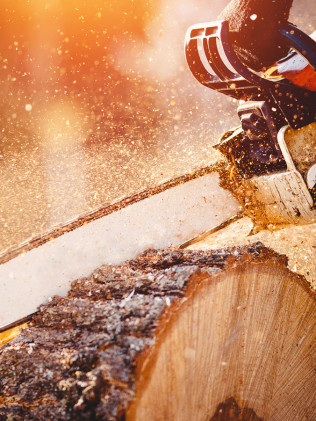 Nelson Tree Service LLC | Rochester & Stewartville, MN | Tree Removal ...