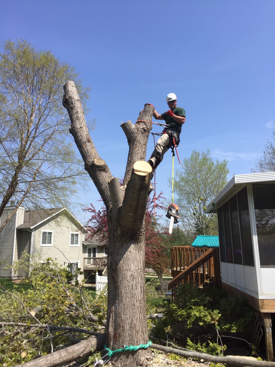Gallery | Nelson Tree Service LLC