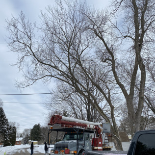 Gallery | Nelson Tree Service LLC