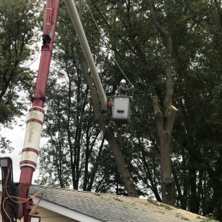 Gallery | Nelson Tree Service LLC
