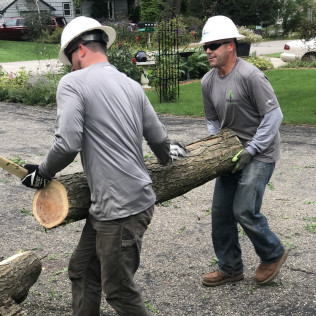 Gallery | Nelson Tree Service LLC