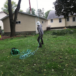 Gallery | Nelson Tree Service LLC
